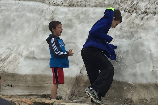 Rocky Mountain National Park The Best of Rocky Tour - Stop 1: Rocky Mountain National Park