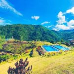 Romantic Dinner by the beach in Bohol - Dining: Four-Course Meal with a Touch of Elegance