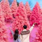 Romantic tour : Cherry blossom days in spring from Seoul - What Travelers Say