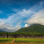 Romantic tour in Coimbatore - What to Expect: A Detailed Breakdown of the Itinerary