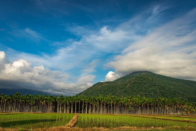 Romantic tour in Coimbatore - What to Expect: A Detailed Breakdown of the Itinerary