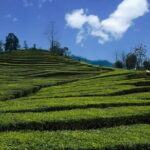 Romantic Tour in Yichang - The Experience: What You Can Expect