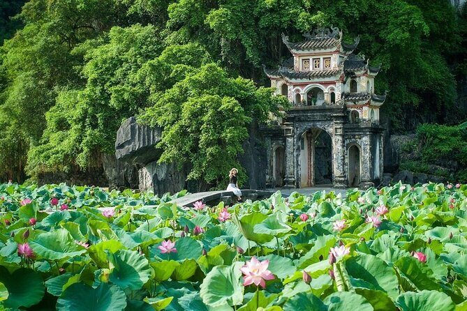 Roundtrip: HaNoi - NinhBinh - LanHa Bay on 5-Star Cruise 3days - What Travelers Can Expect