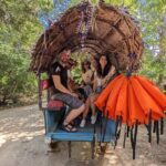 Roundtrip Transfer To/From Airport Hotel and Port in Sri Lanka - The Practical Highlights of This Transfer Service