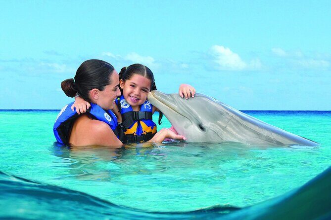 Royal Garragon with Dolphin Encounter in Isla Mujeres - Whats Included and Whats Not