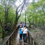 Royal Klang Town Heritage Walk plus Mangrove Point with Pickup - Who Is This Tour Best For?