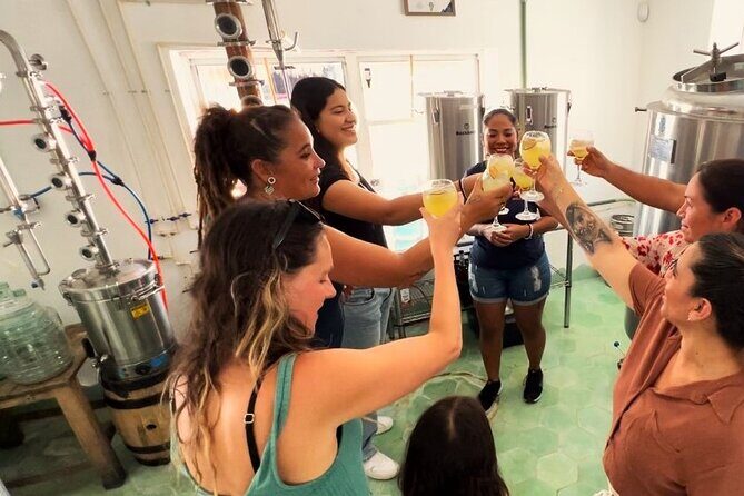 Rum and Gin at Cozumel First Distillery - The Practicalities: What You Need To Know