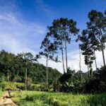 Rural Explorer Mountain Biking Tour Chiang Mai - Who Would Love This Tour?