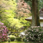 Rural Kyoto One Day Tour of a Tranquil Landscape in Ohara - Key Points