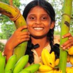 Rural Sri Lanka (13 N / 14 D) - Practical Considerations and Value