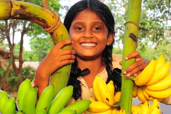 Rural Sri Lanka (13 N / 14 D) - Practical Considerations and Value