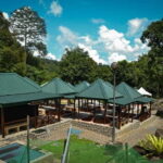 Sabah: Kinabalu Park, Poring Hot Springs & Desa Farm Tour - Who Should Consider This Tour?