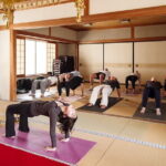 Sacred Temple Yoga Experience in Japan - Why This Tour Is a Great Deal for Travelers