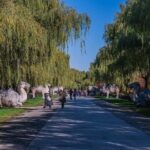 Sacred Way-Ming Tomb - Huanghuacheng Great wall Day Tour - Who Should Consider This Tour