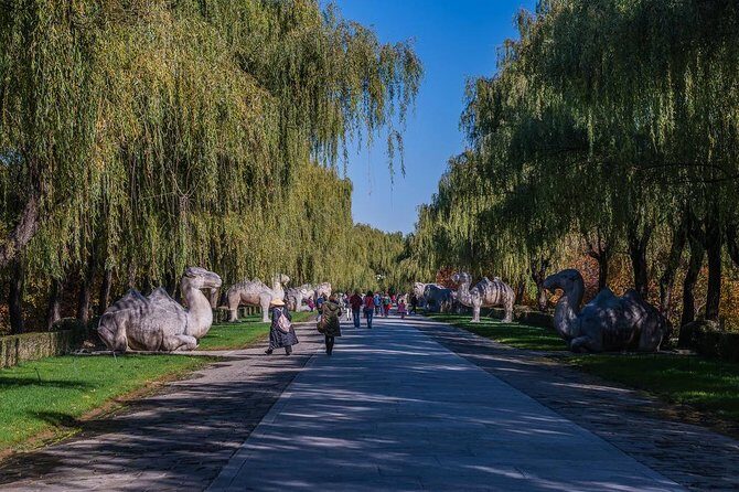 Sacred Way-Ming Tomb - Huanghuacheng Great wall Day Tour - Who Should Consider This Tour