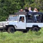 Safari Adventure in Hurulu Eco Park Sri Lanka - Authentic Encounters and Review Highlights