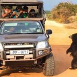 Safari Expedition's in Wild Wonders of Yala - Breakdown of the Itinerary: What to Expect