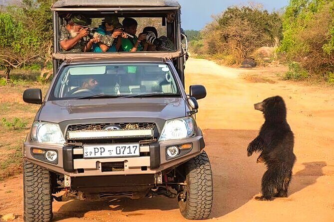 Safari Expedition's in Wild Wonders of Yala - Breakdown of the Itinerary: What to Expect