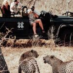 Safari In Jhalana Leopard Conservation Reserve, Jaipur - The Perks and Practicalities