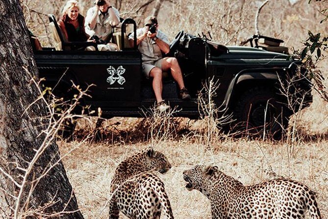 Safari In Jhalana Leopard Conservation Reserve, Jaipur - The Perks and Practicalities