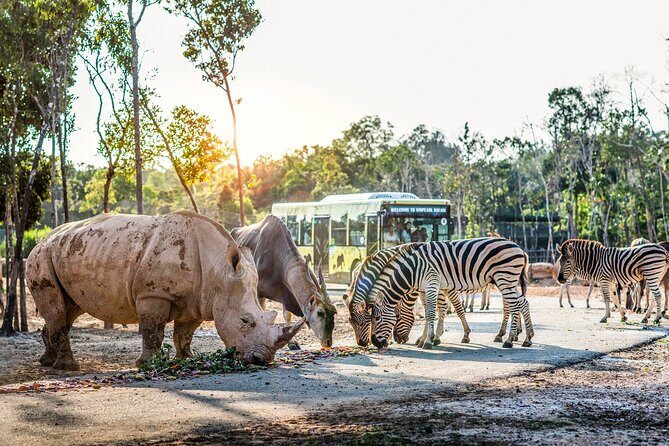 Safari Phu Quoc Ticket With Roundtrip Transfer - A Deep Dive into the Vinpearl Safari Phu Quoc Experience