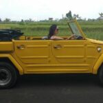 Safari style tour in Bali Island - What’s Included and Not