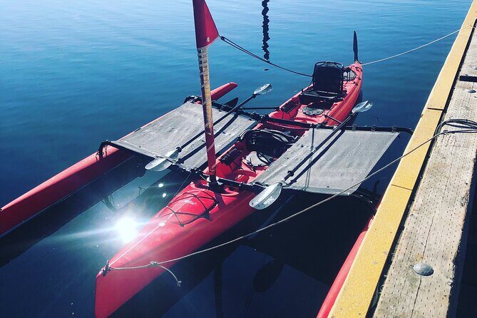 Sailing Alaska's Inside Passage 4 Day Private Tour - The Value and Practicalities