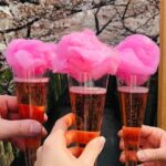 Sake Tasting and Cherry Blossom Fun in Tokyo! - Final Thoughts: The Value and Who It Suits