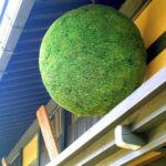 Sake Tasting Tour - Who Should Consider This Tour?