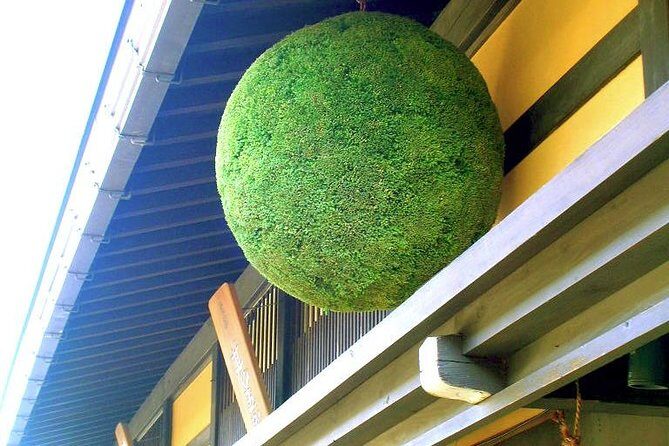 Sake Tasting Tour - Who Should Consider This Tour?