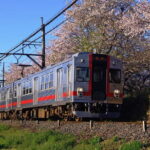 Sakura Magic and Nabana No Sato Day Tour From Osaka - FAQ