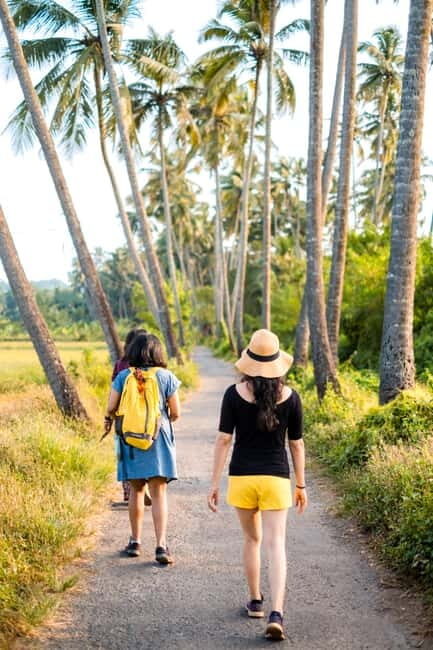 Saligao: Village Saunter through Saligao - The Experience Provider: Make It Happen