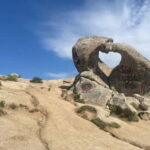 Samarkand: Shakhrisabz, Ak Saray, a symbol of love - The Itinerary: What You’ll See and Experience