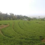 Sambangan Trekking, Sliding, Jumping in Scenic Waterfalls - Is It Worth the Price?