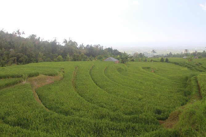 Sambangan Trekking, Sliding, Jumping in Scenic Waterfalls - Is It Worth the Price?