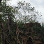 Sambor Prei Kuk Off Beaten Track - What Travelers Say: Authentic Experiences and Expert Guides