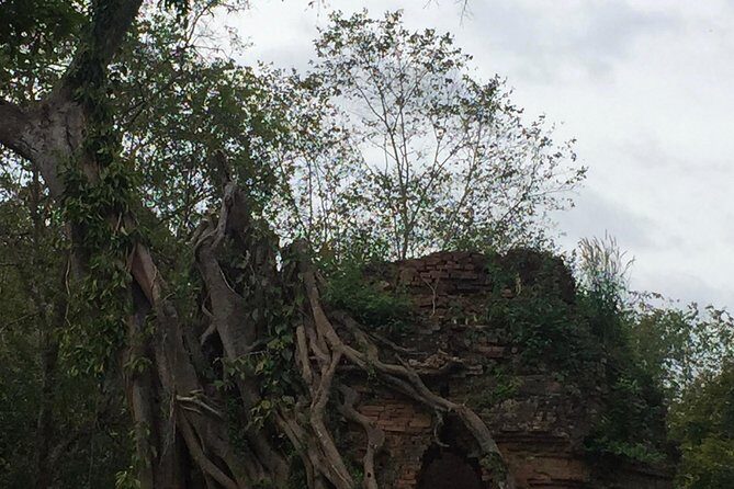 Sambor Prei Kuk Off Beaten Track - What Travelers Say: Authentic Experiences and Expert Guides