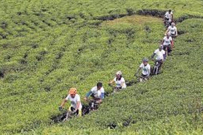 Samdakphu View trek - What Makes This Trek Valuable