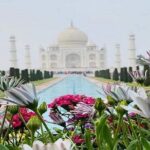 Sameday Taj Mahal Tour From Delhi With Lunch at 5 Star Hotel - Who Should Consider This Tour?