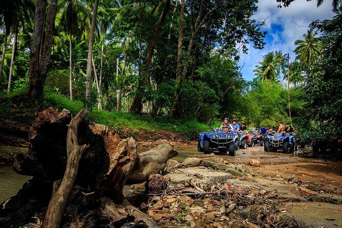 Samui ATV Quad Bike 1 Hour Tour - Value and Authenticity
