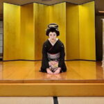 Samurai Fencing Geisha Dance and Mito Kairakuen Garden - Final Thoughts: Is This Tour Right for You?