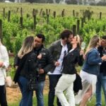 San Francisco: Napa Valley Half-Day Wine Tour with Tastings - What You’ll Get in the Package