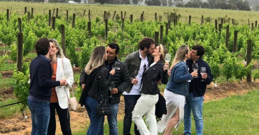 San Francisco: Napa Valley Half-Day Wine Tour with Tastings - What You’ll Get in the Package