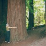 San Francisco to Santa Cruz Day Trip: Redwoods and Beach Fun - What Travelers Say and What to Expect