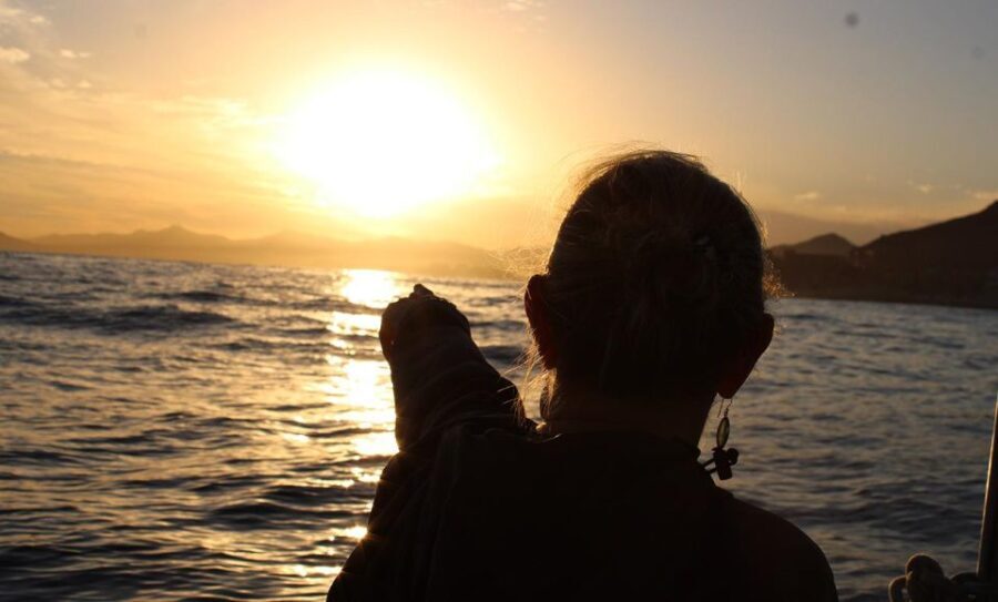San Jose del Cabo Sunset Whale Watching - Who Will Love This Tour?