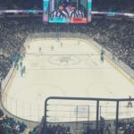 San Jose: San Jose Sharks Ice Hockey Game Ticket - The Itinerary and What You Can Expect