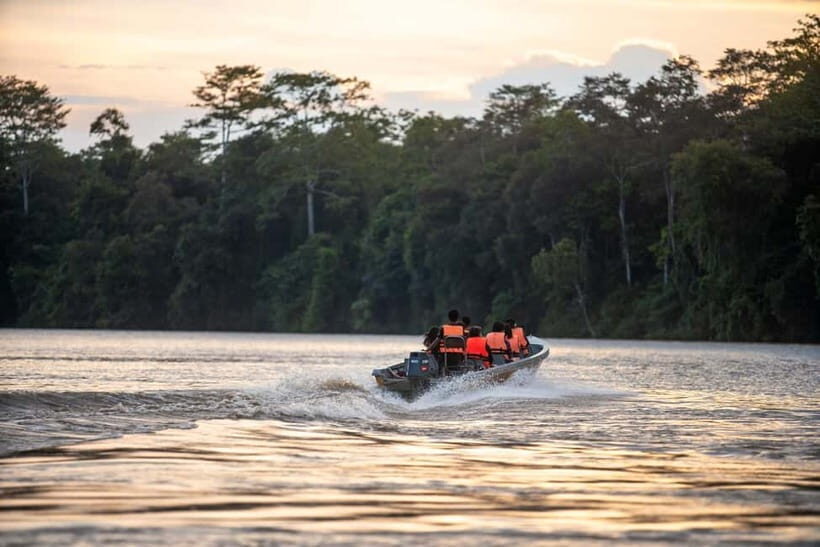 Sandakan: Kinabatangan River Wildlife Cruise with Lunch - Considerations and Potential Drawbacks