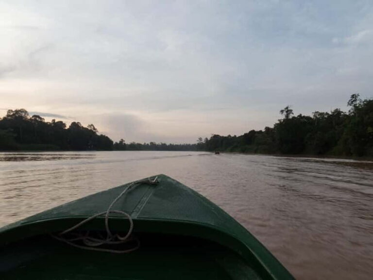 Sandakan: Sukau Rainforest Wildlife Journey & Dawn Cruises - The Itinerary Breakdown