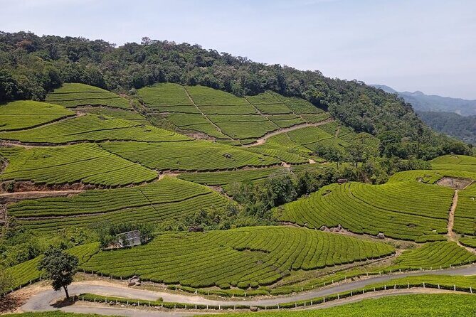 Sandal Wood & Sight Seeing Tour (Munnar Valley Trekking & Tours) - A Close Look at the Itinerary