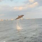 Sandestin Sunset Eco-Dolphin Cruise Aboard Sol y Luna - Detailed Breakdown of the Itinerary